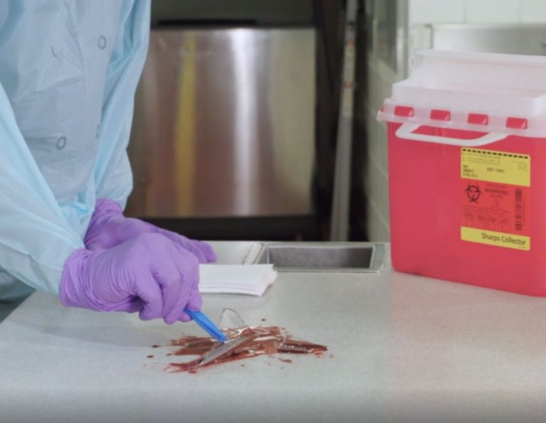 Bloodborne Pathogen Online Training | American Red Cross